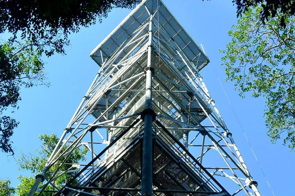 Museu da Amazônia promoverá 2ª edição da trilha 'Noite dos Aracnídeos ...